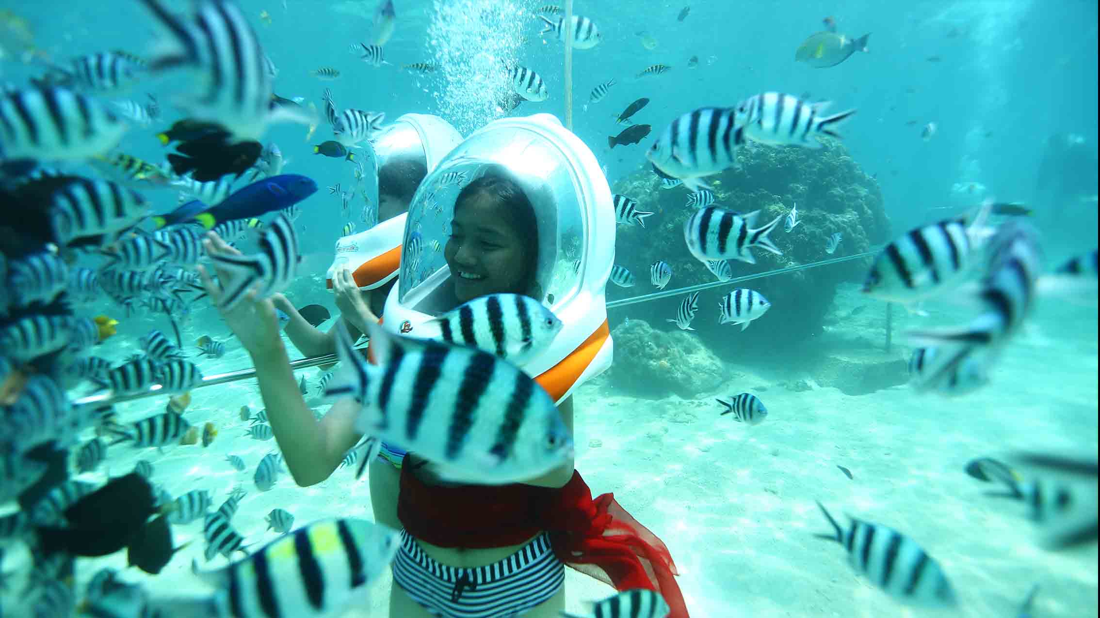 The Bali Bible Bali Marine Activities And Tours With Hotel the-bali-bible-bali-marine-activities-and-tours-with-hotel